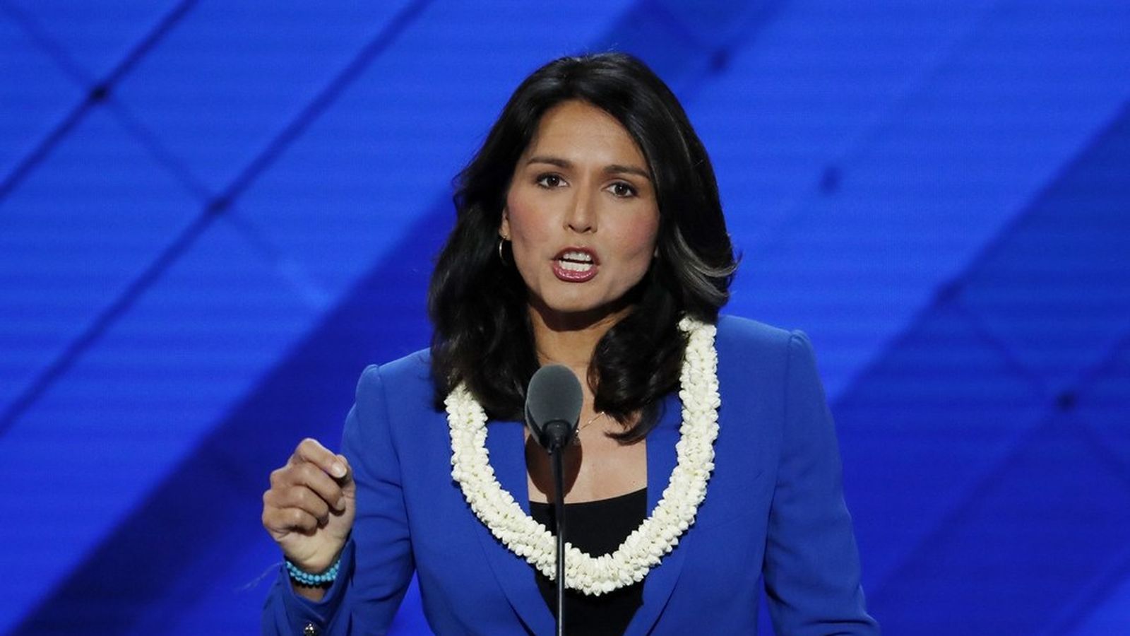 Tulsi Gabbard reveals she met with Assad in Syria