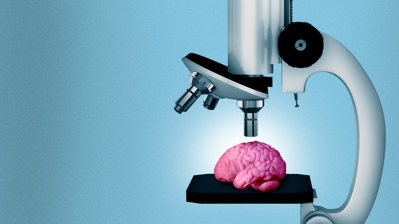Rice launches Brain Institute to drive discoveries in neuroscience and ...