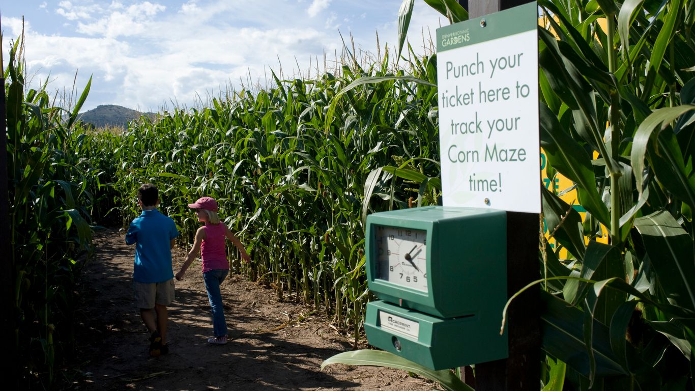Colorado corn mazes to wander this fall - Axios Denver