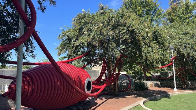 Weekender: 30 things to do in Charlotte this weekend including the International Arts festival ...