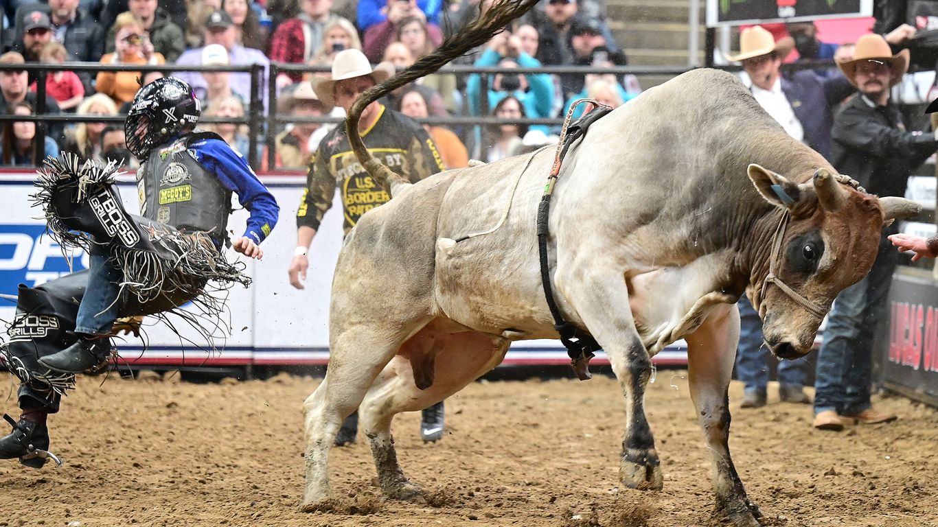 What you need to know about the Austin Gamblers - Axios Austin