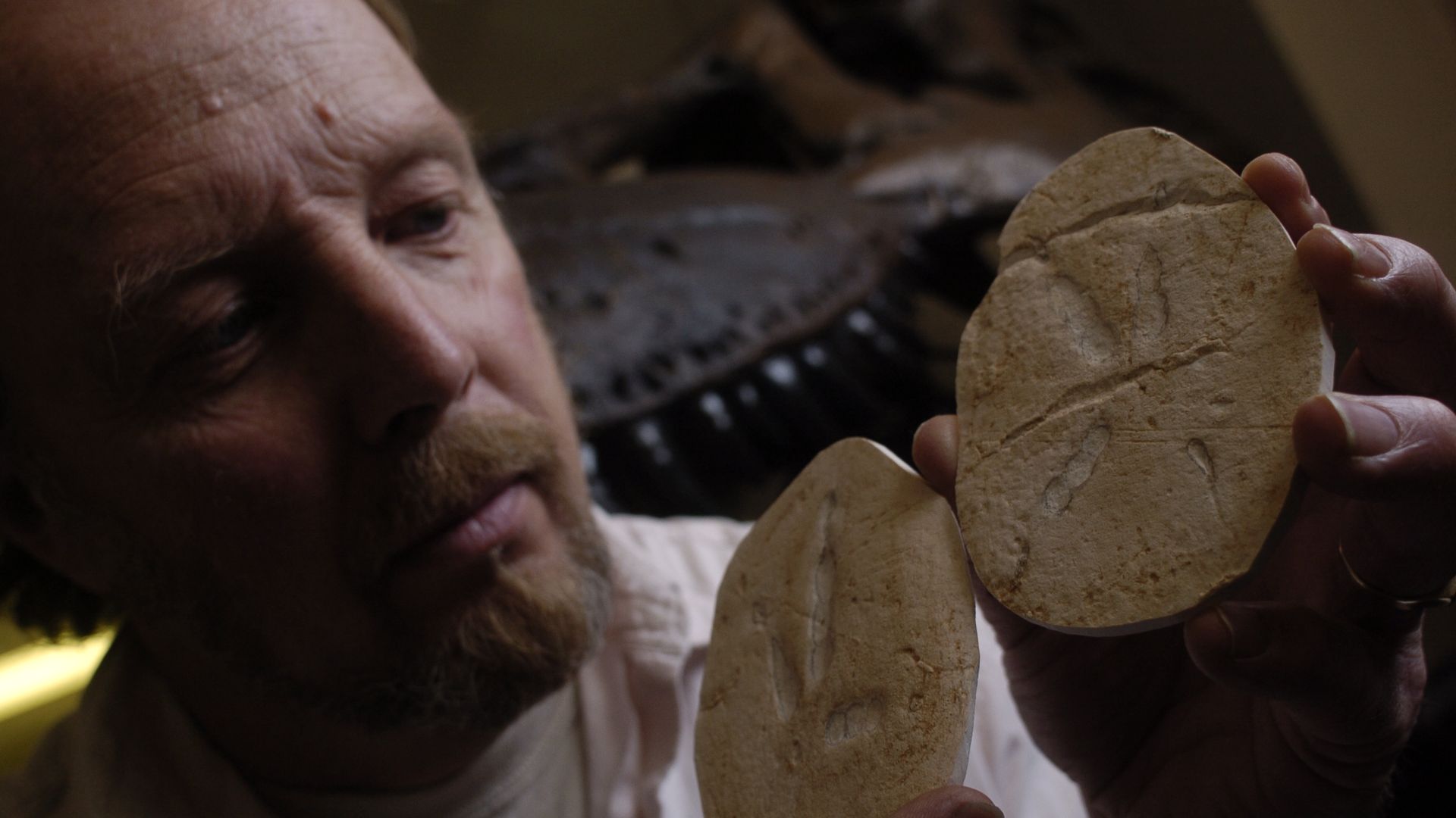 Martin Lockley remembered for pioneering dinosaur research - Axios Denver