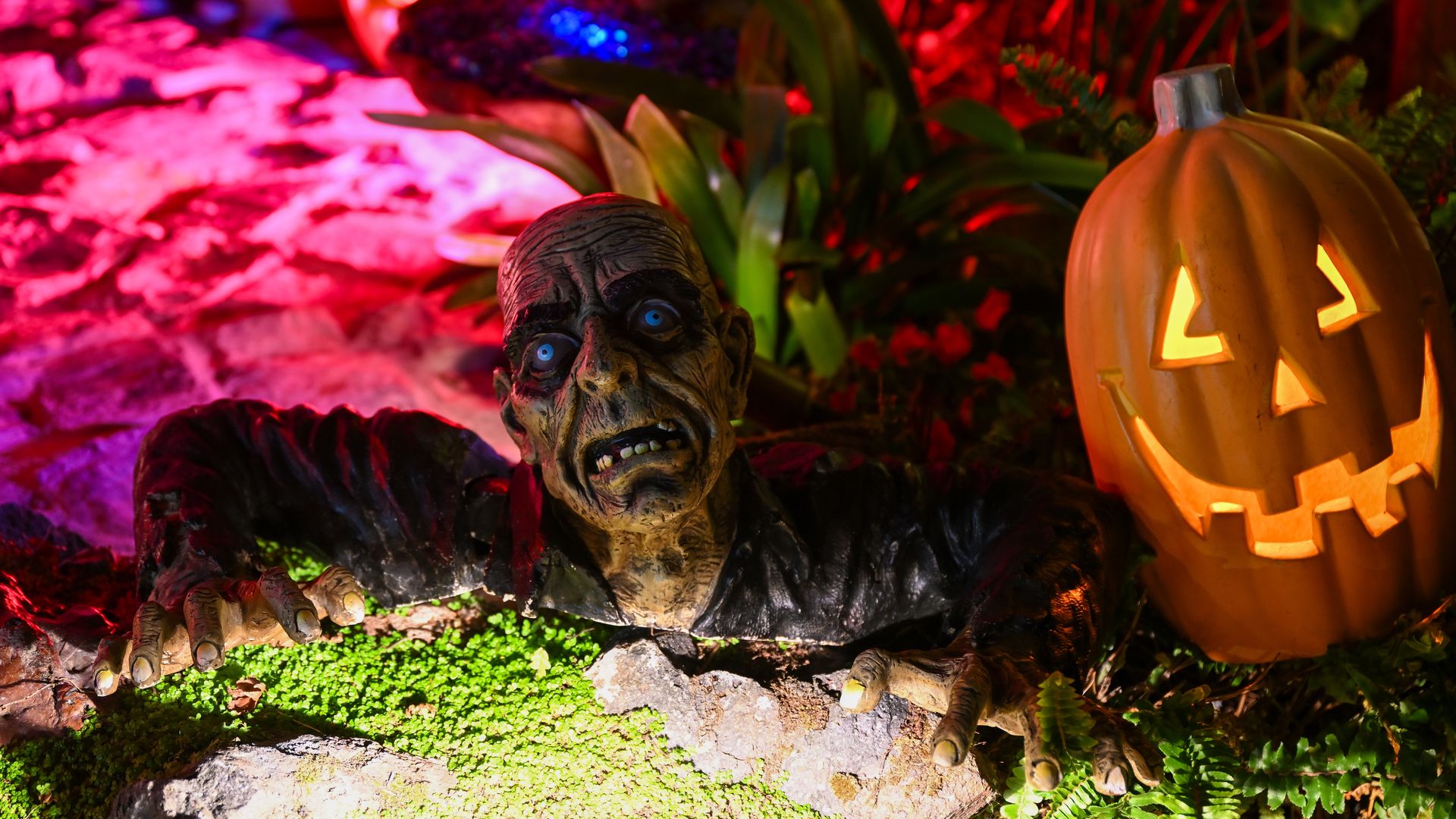 San Francisco to host Halloween party downtown with outdoor drinks ...