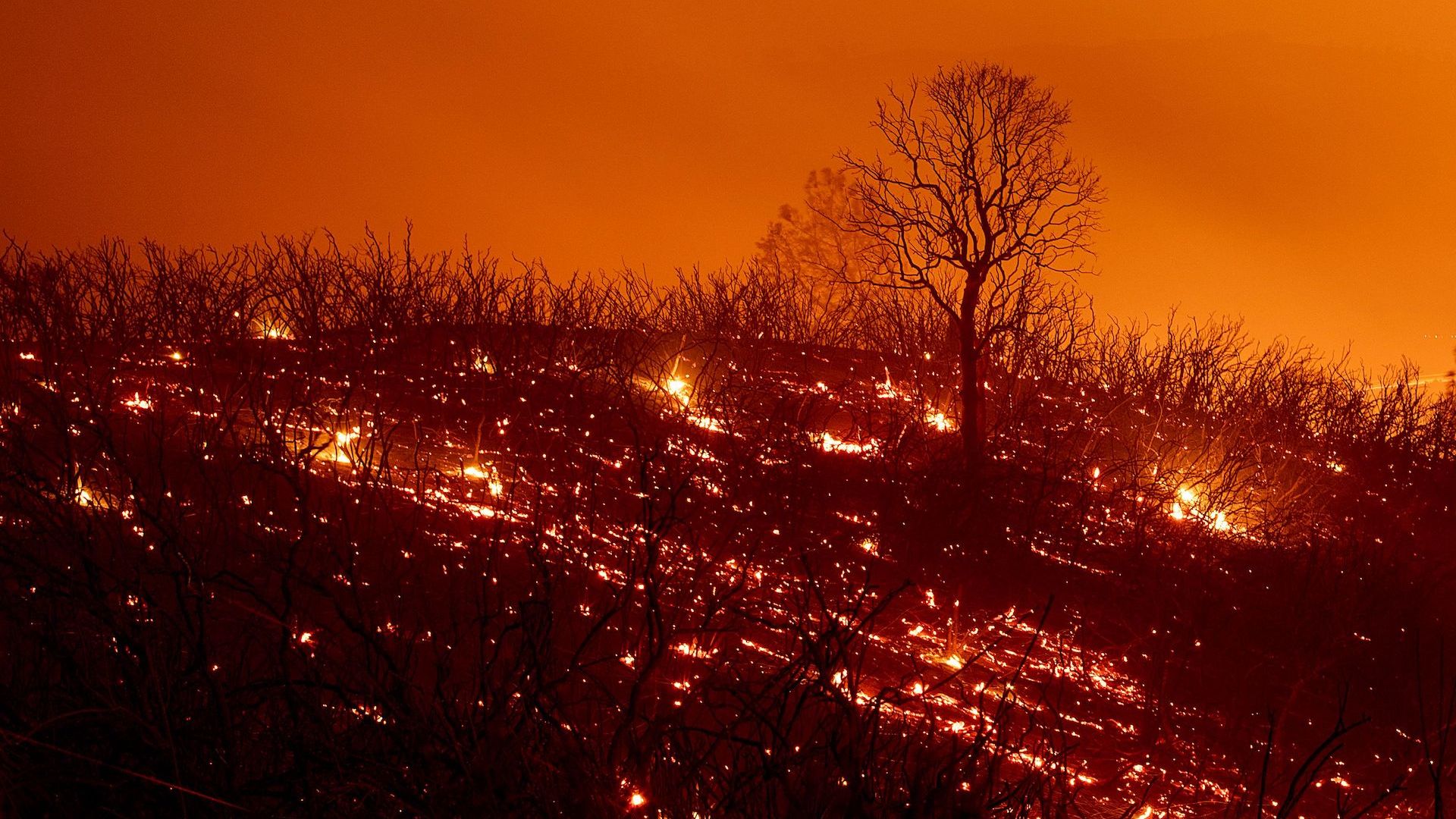Energy & Climate - Axios