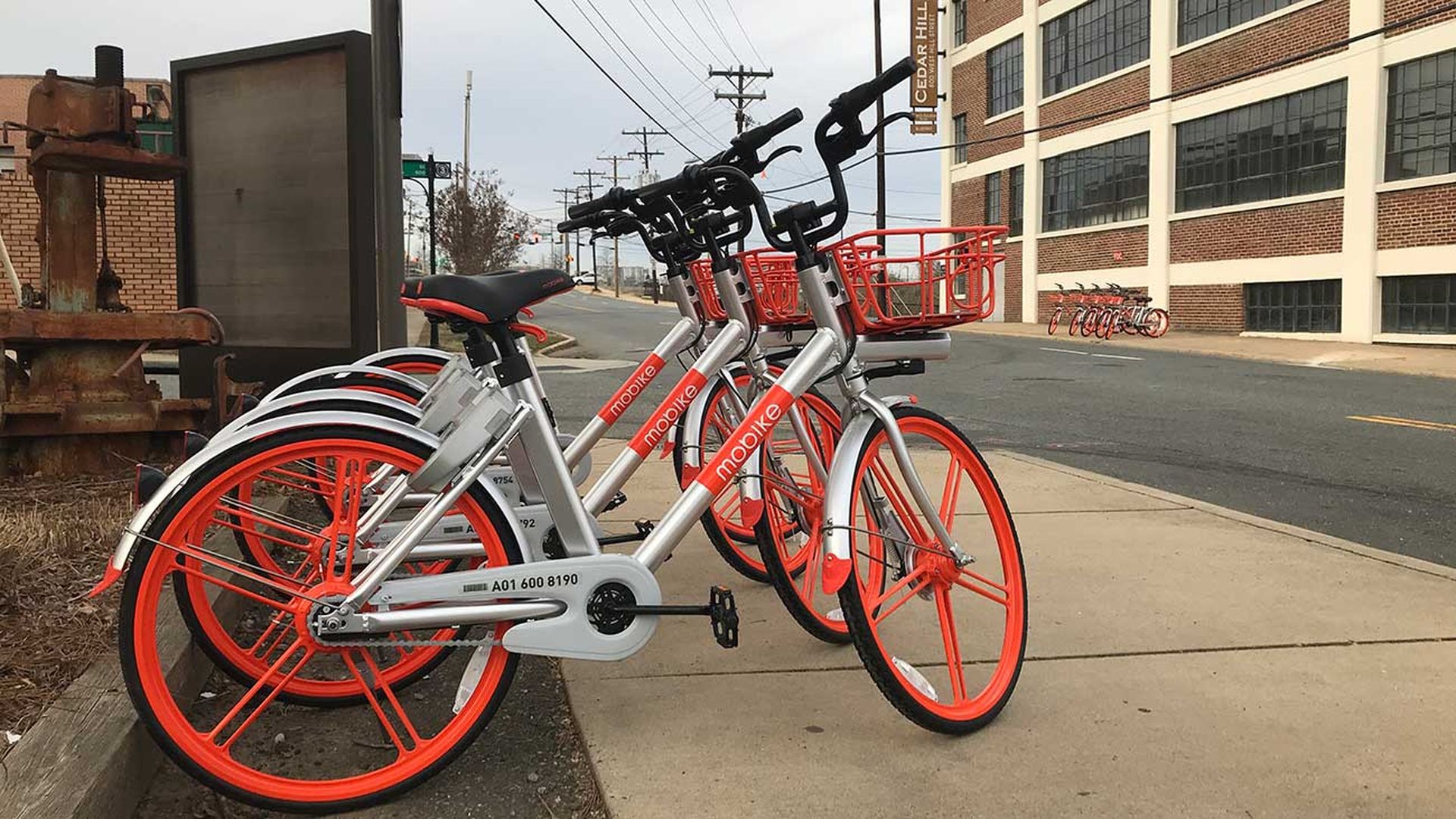 Those brightly colored bikes will likely be littered around our city ...