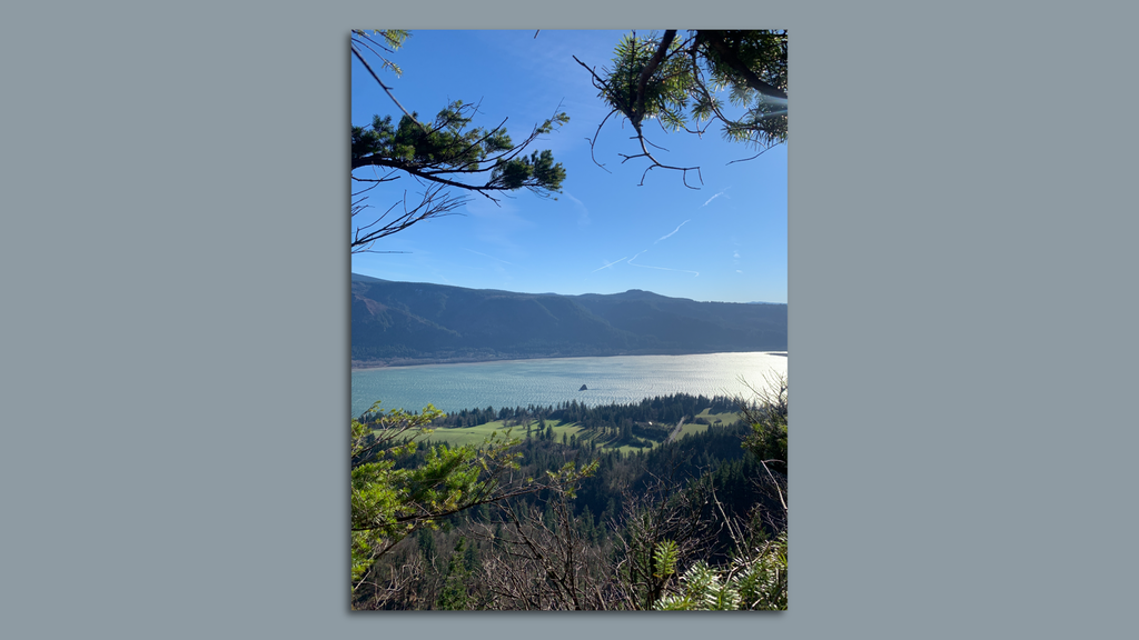 Emily Harris - Axios