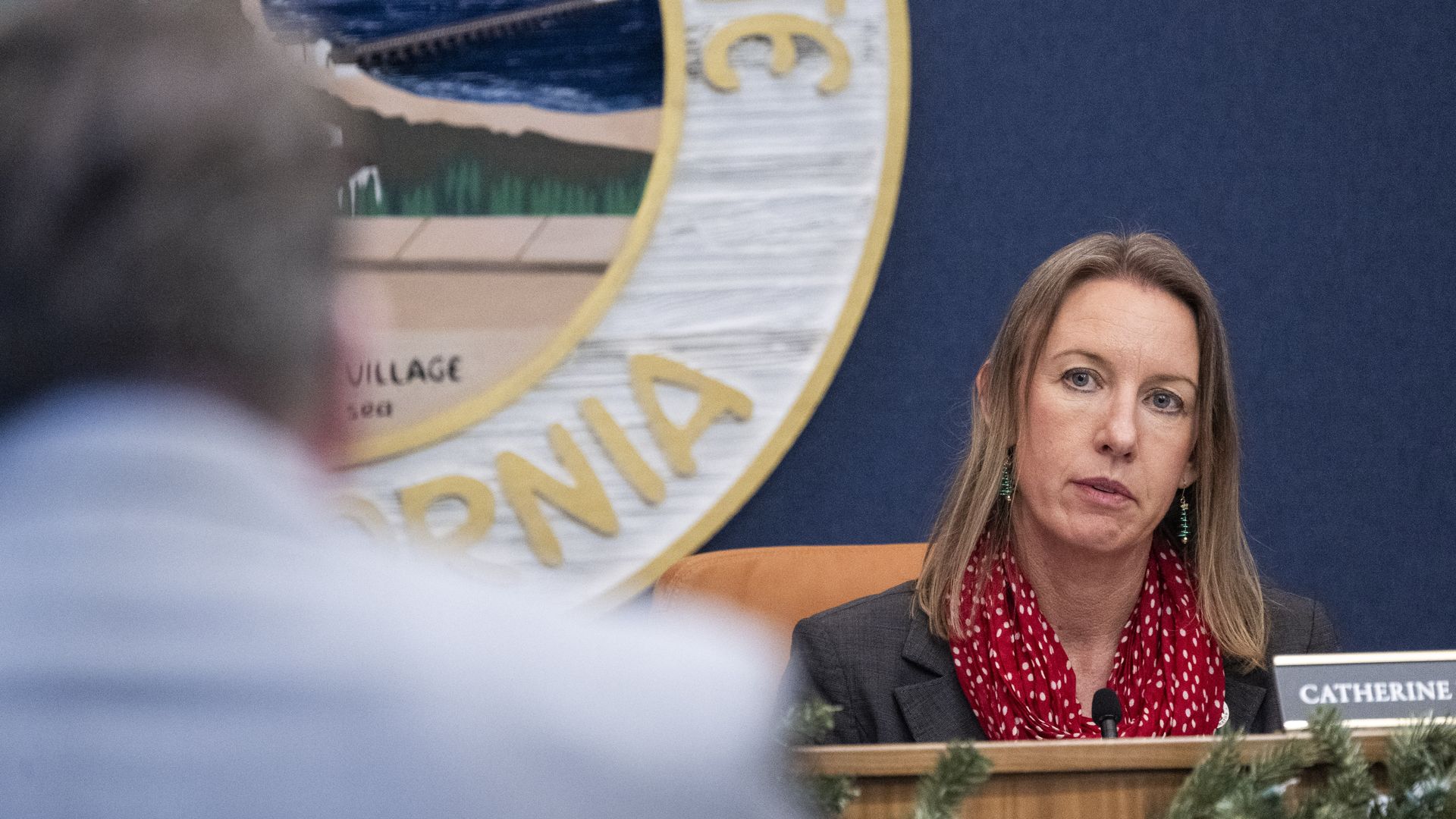 Blakespear bill aims to break California's city-county gridlock on ...