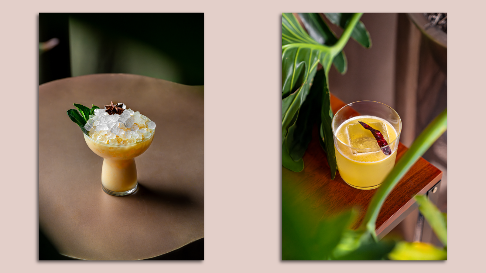 Moon Rabbit cocktail bar in the works near DC's Dupont Circle - Axios ...