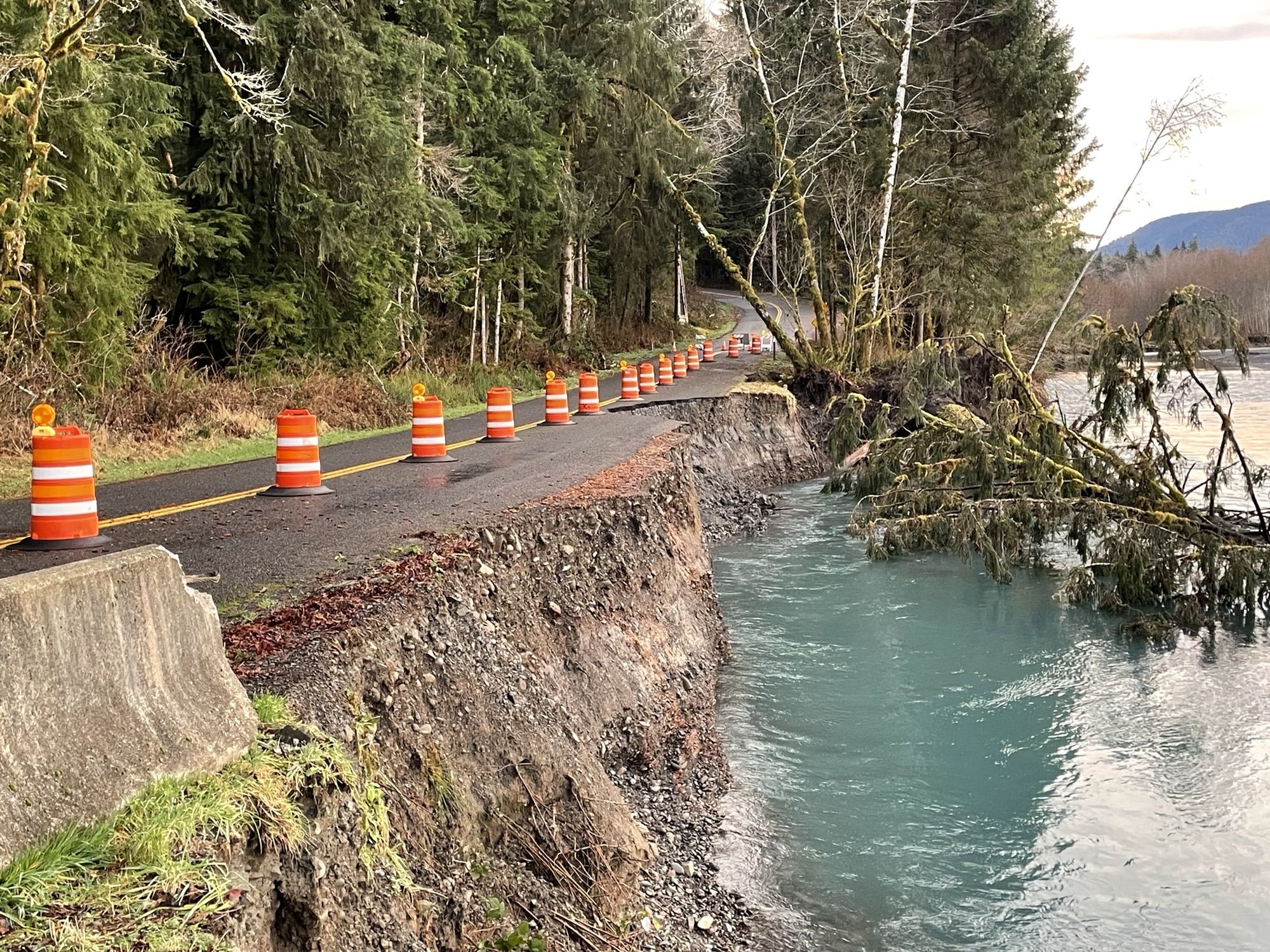 Hoh Rain Forest in Olympic National Park could be closed this summer ...