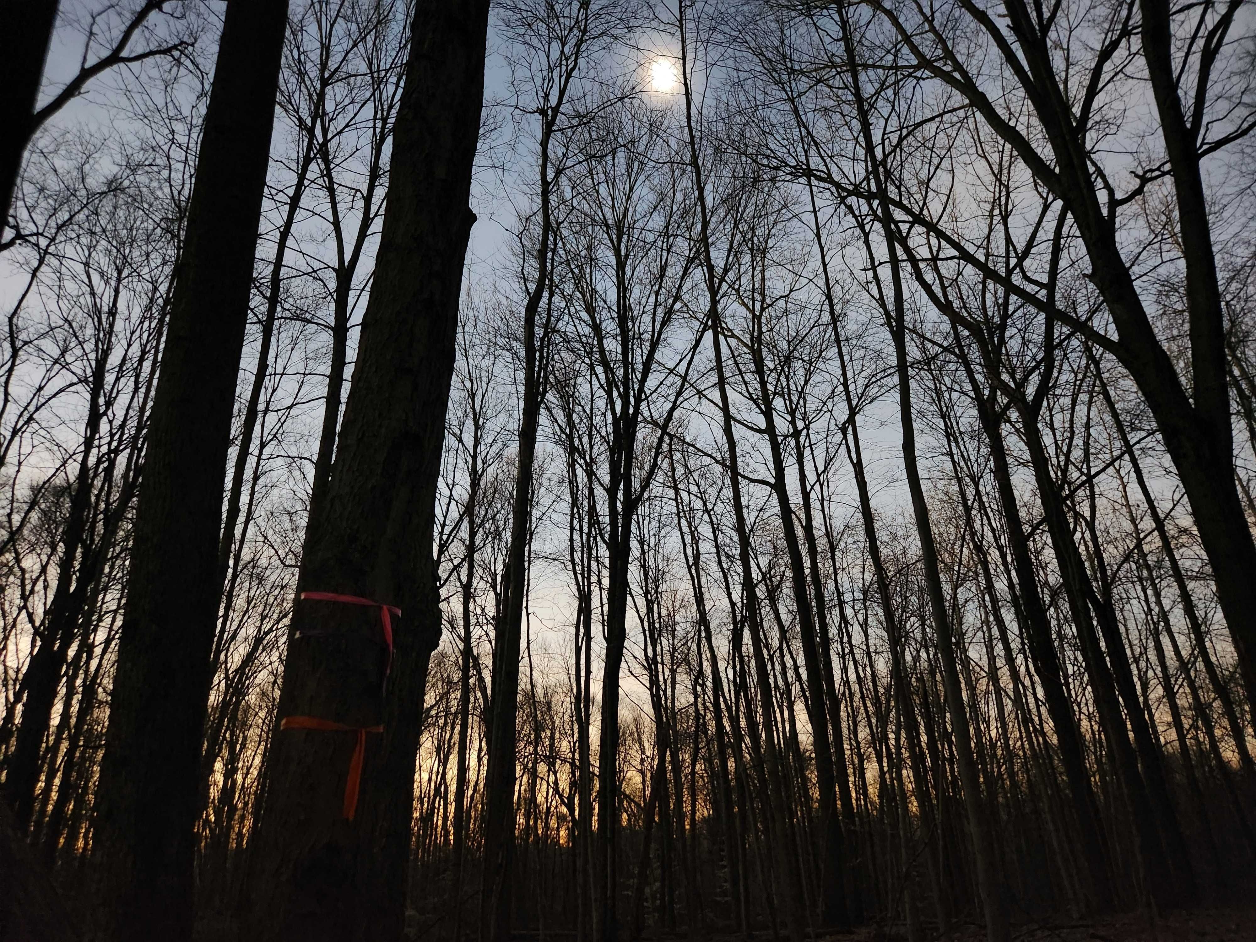 Eclipse had rentals all booked solid - Axios Columbus