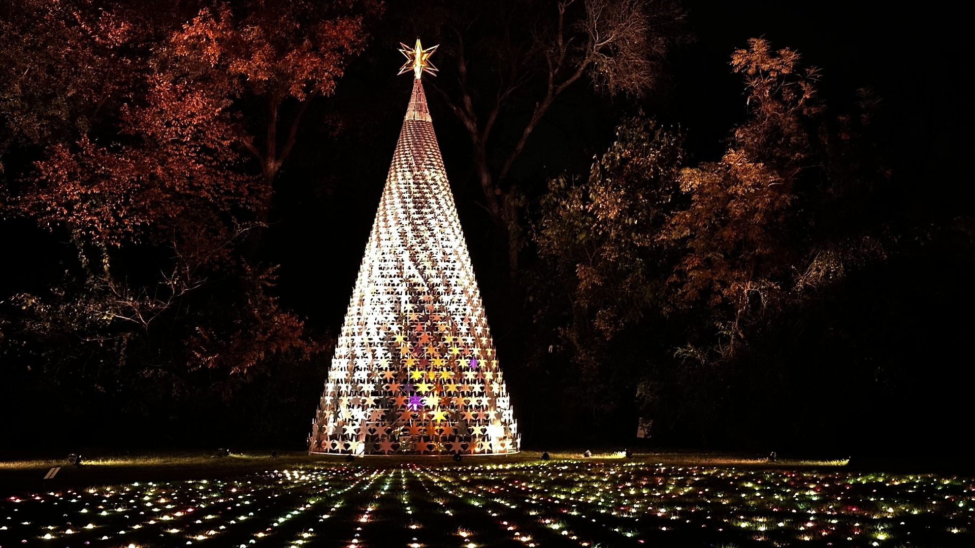 🪩 Things to do: Holiday pageants, light shows, movies - Axios Dallas