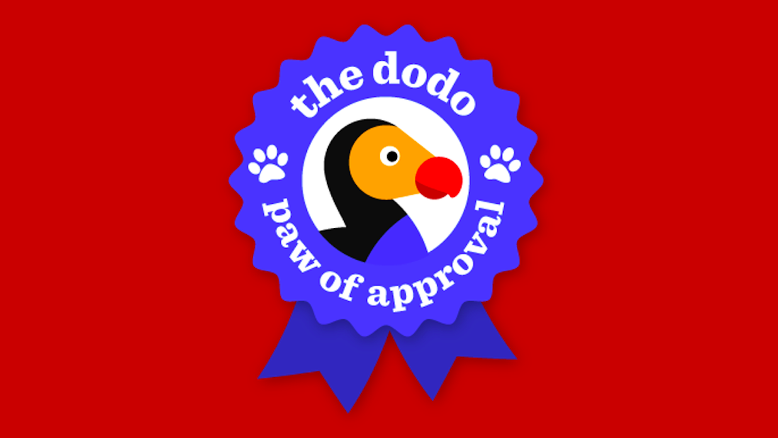 The Dodo launches new site with pet and pet expert-approved products