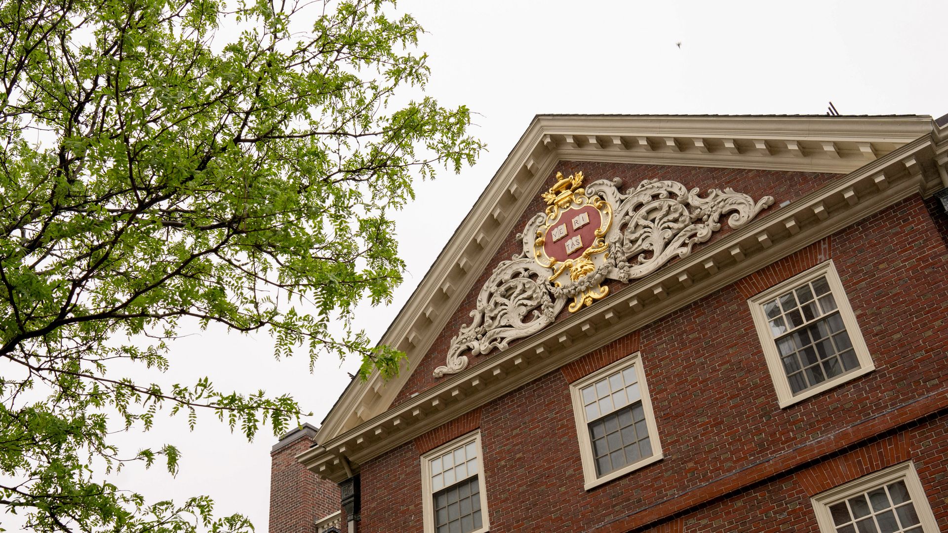 Harvard wins temporary relief from Trump's bid to ban foreign students