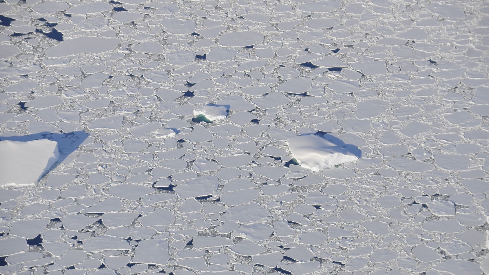 Study ties Antarctic sea ice melt to warming climate