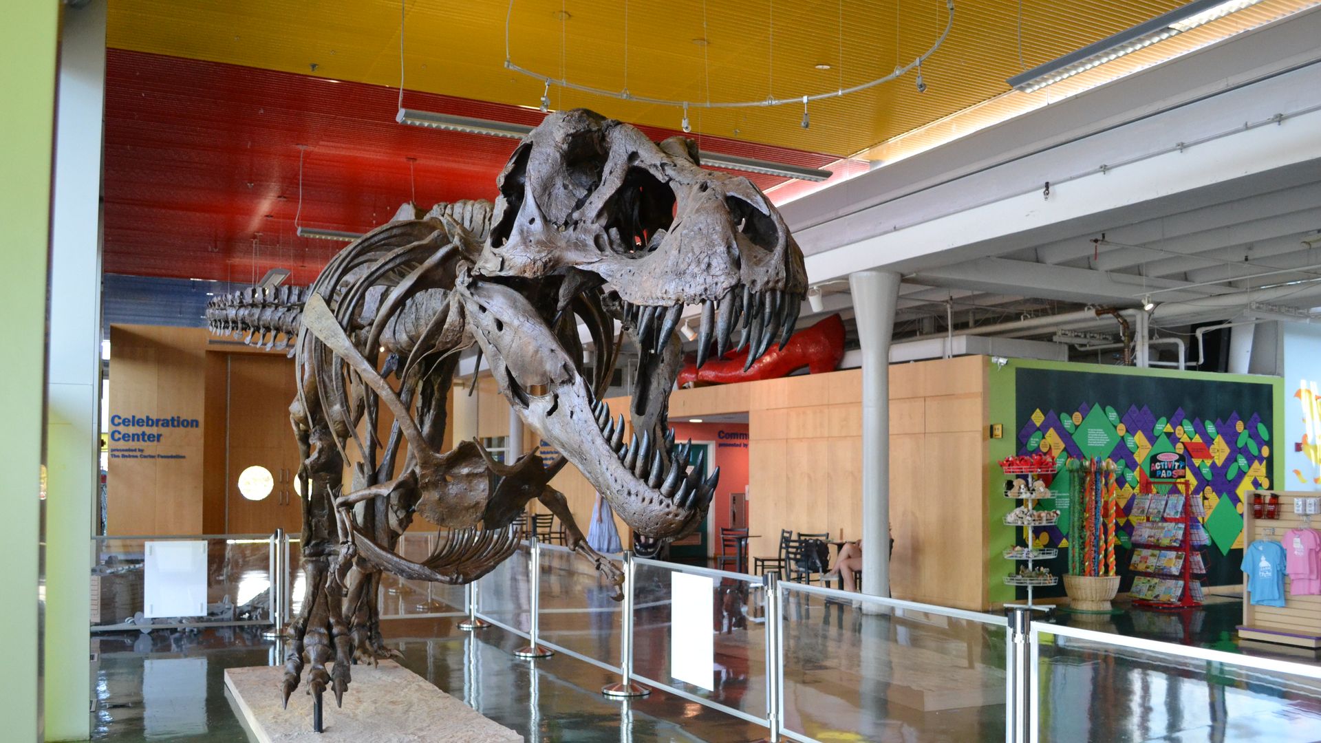 Richmond debuts Virginia's only life-size T. rex skeleton - Axios Richmond