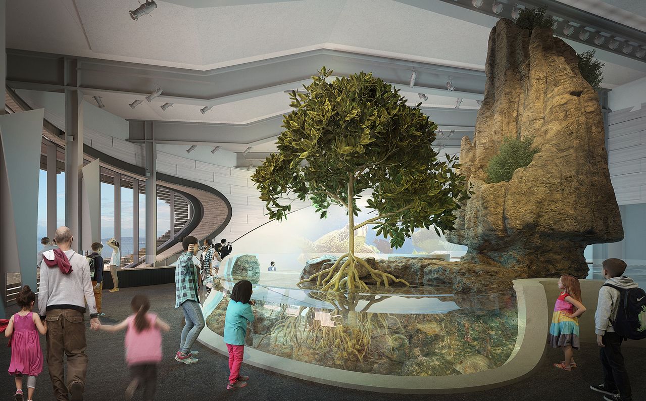 Seattle Aquarium's Ocean Pavilion expansion opens Aug. 29 - Axios Seattle