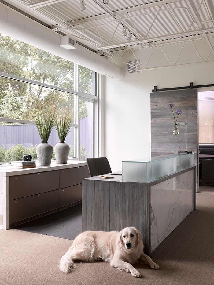 Office Cribs: Architects Ken Pursley and Craig Dixon transform ‘simple ...