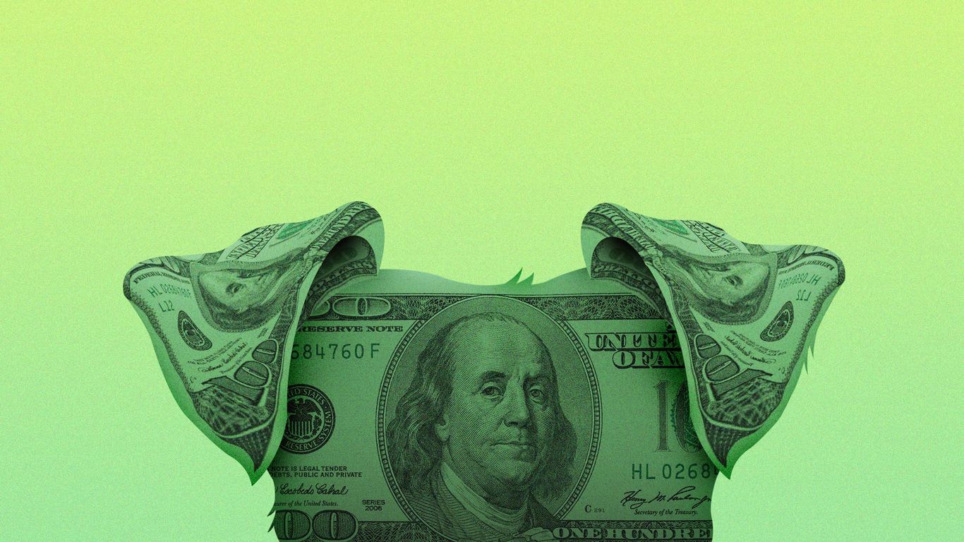 Rover fetches strong earnings