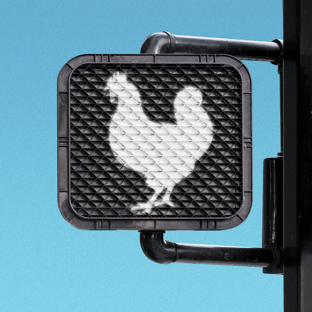 Crosswalk Signal Gif