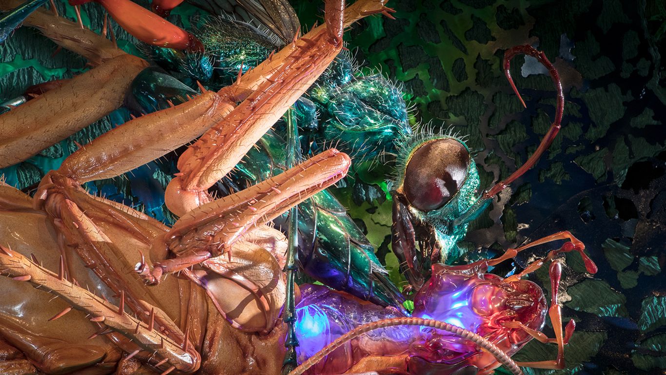 Cabin fever? Experience larger-than-life Bug Lab at Discovery Place ...