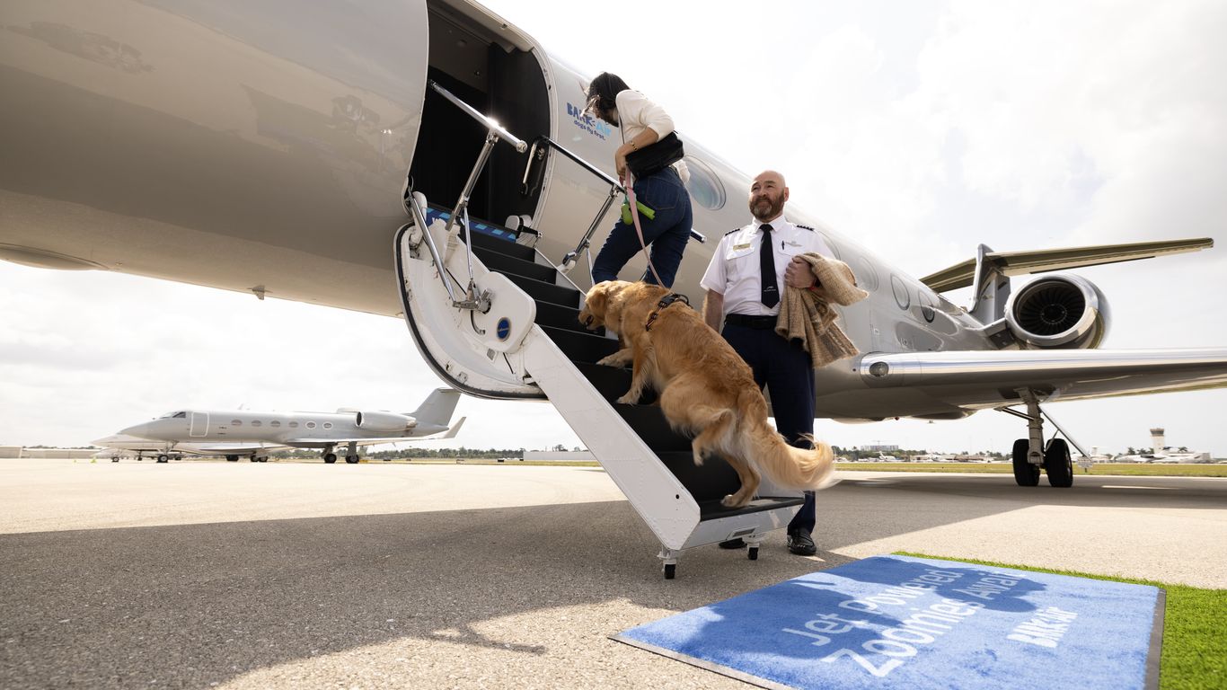 Leashes not required: Dog-first airline offers luxury dog park in the ...