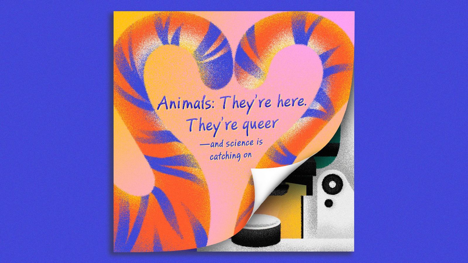 Queer animals: What the research shows
