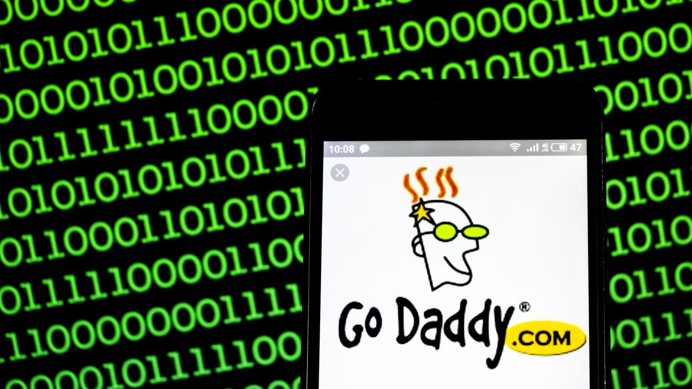 GoDaddy removes network of 15,000 fraudulent sales websites in spam ...