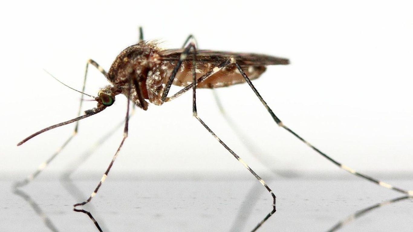 Microsoft creates smart, robotic mosquito traps