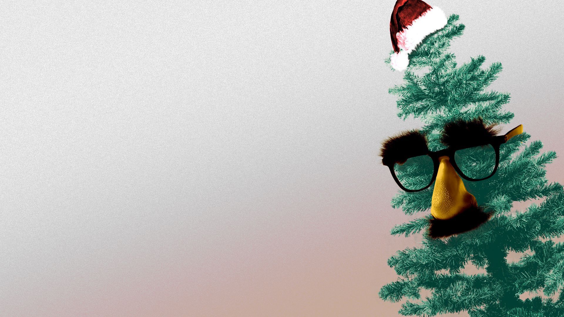 Real vs. fake Christmas trees: Pros and cons, explained - Axios ...