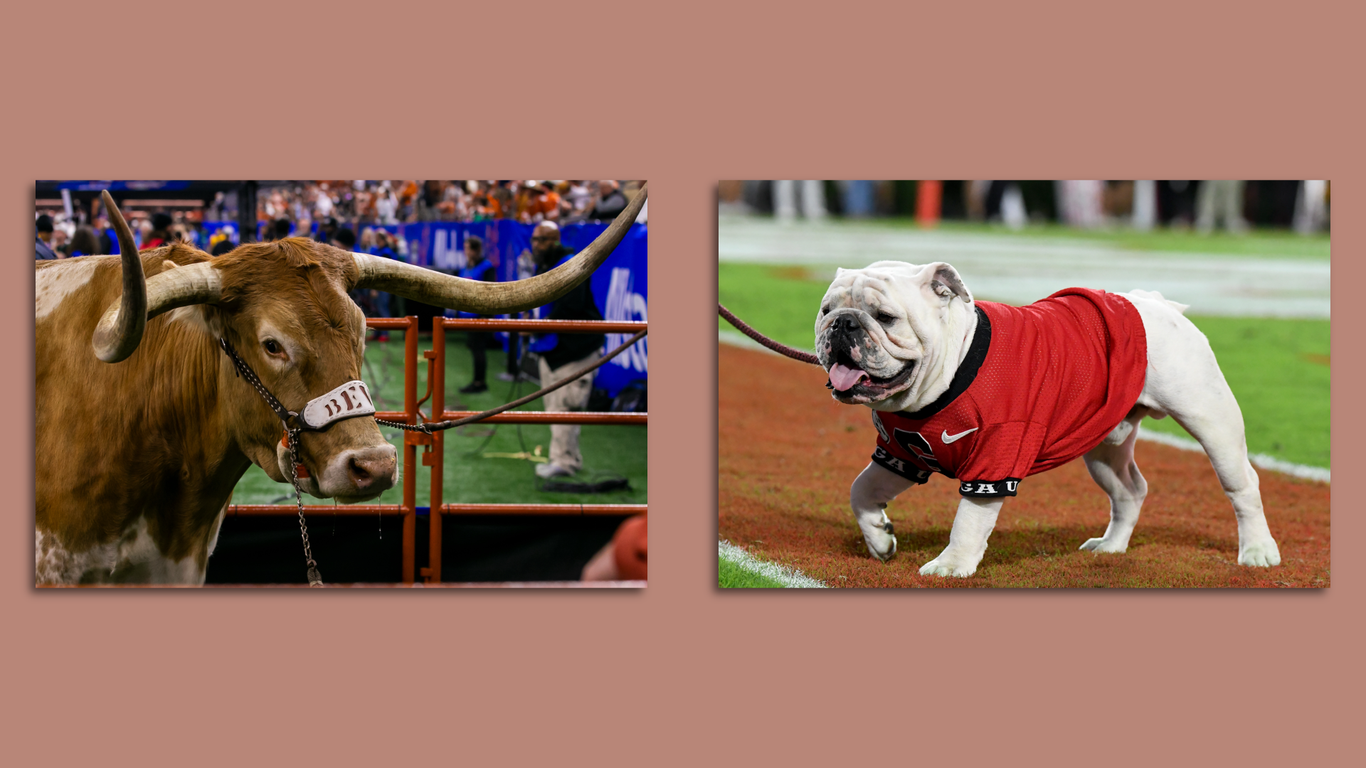 University of Texas and Georgia: The mascot blood feud between Bevo and Uga - Axios Austin