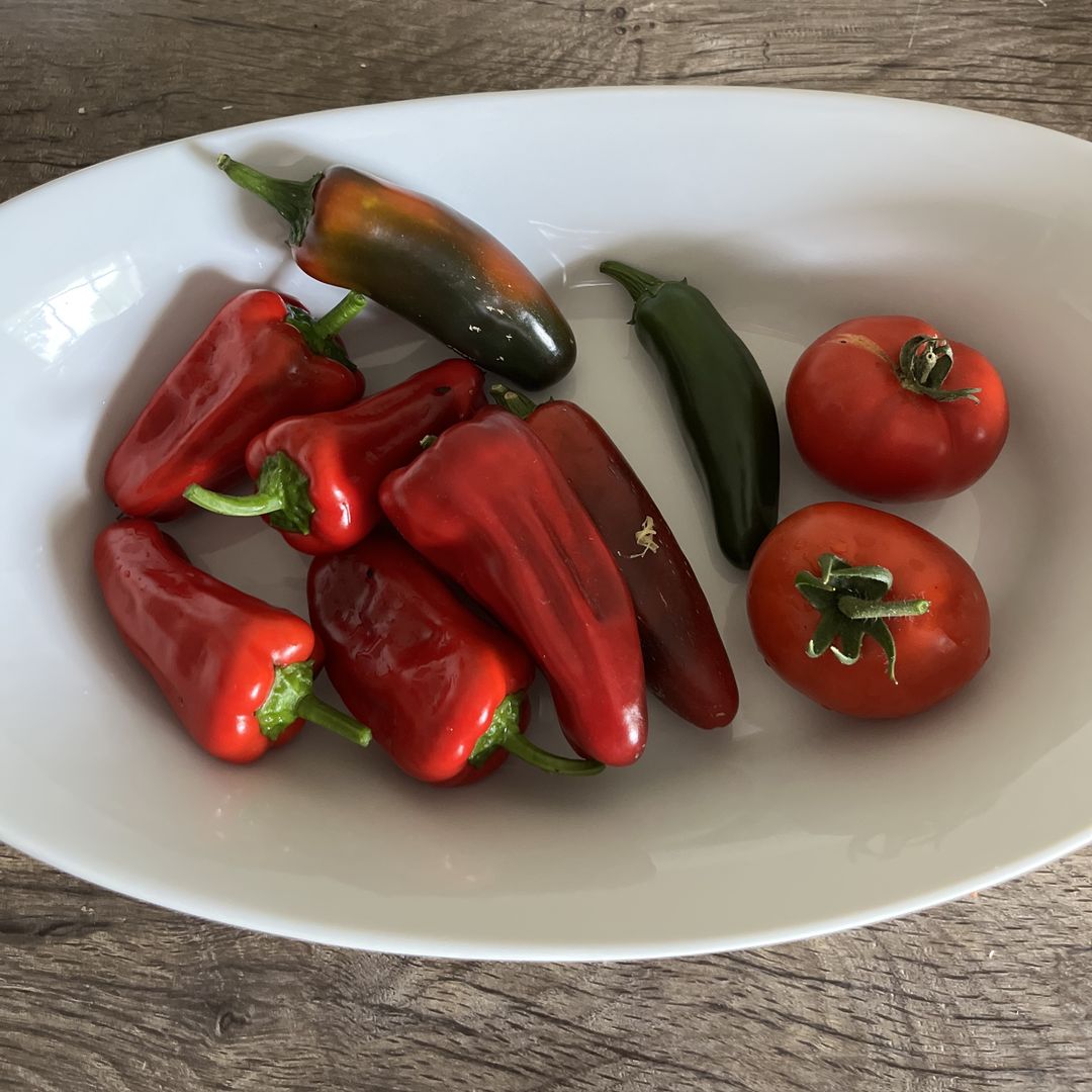 Everett Cook - Axios