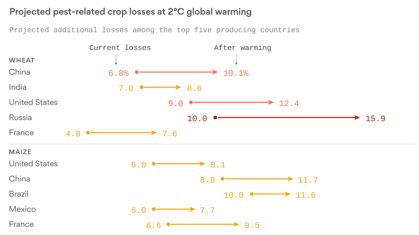 Climate change may boost crop pests, threaten food supplies