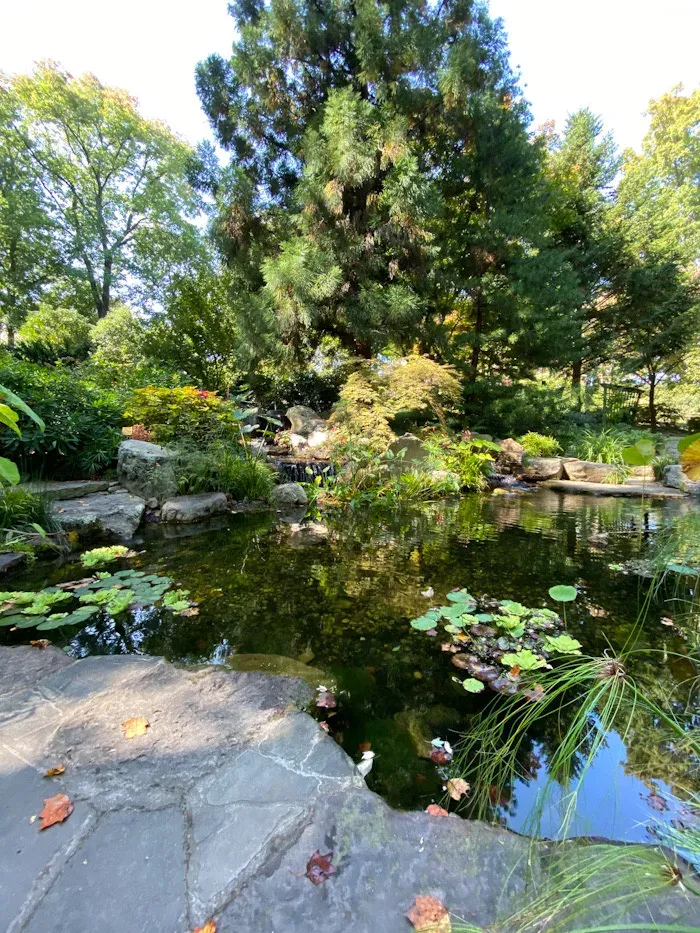 5 local gardens to see flowers in Charlotte - Axios Charlotte