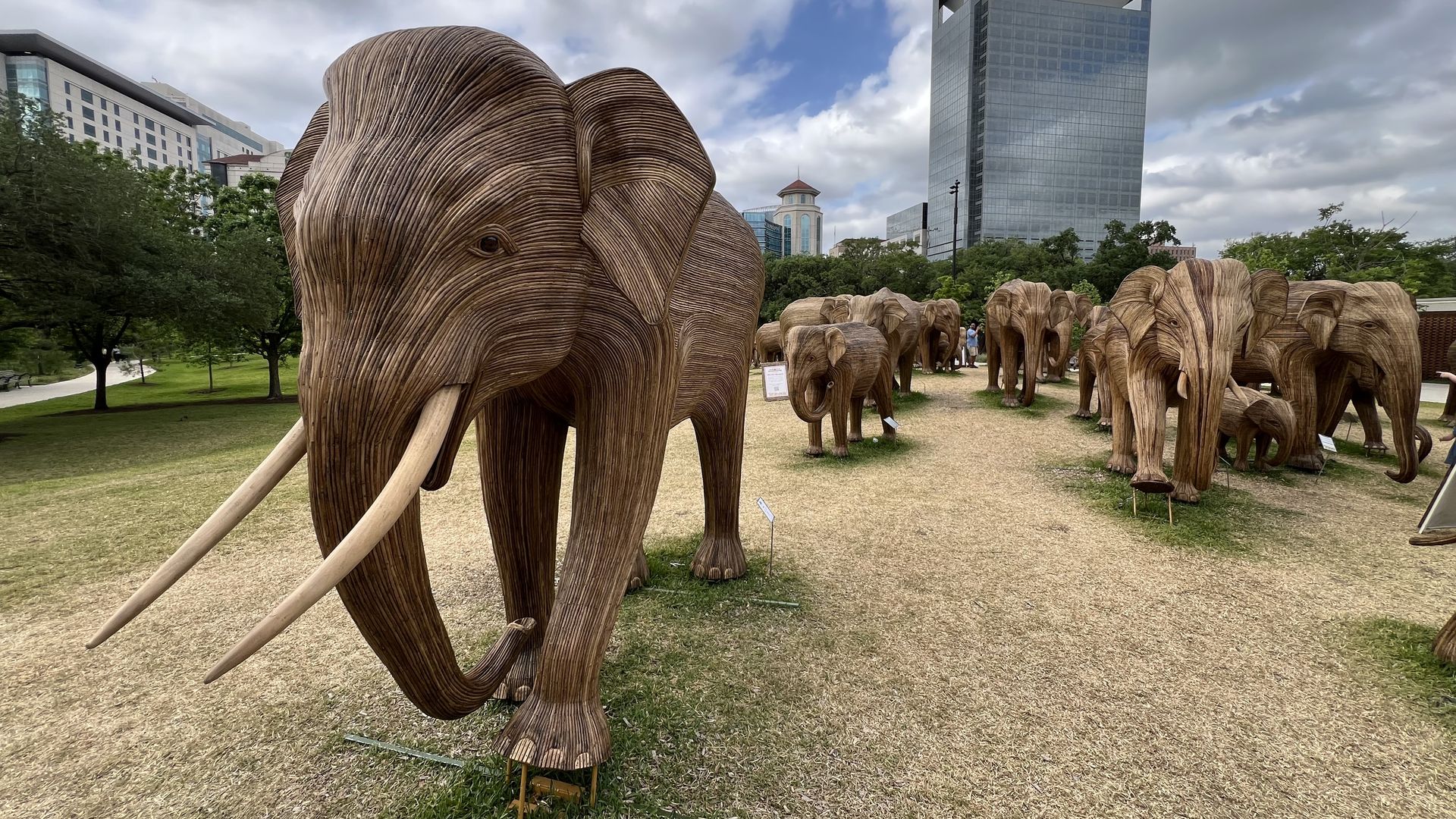 Photos: Houston's great elephant migration - Axios Houston