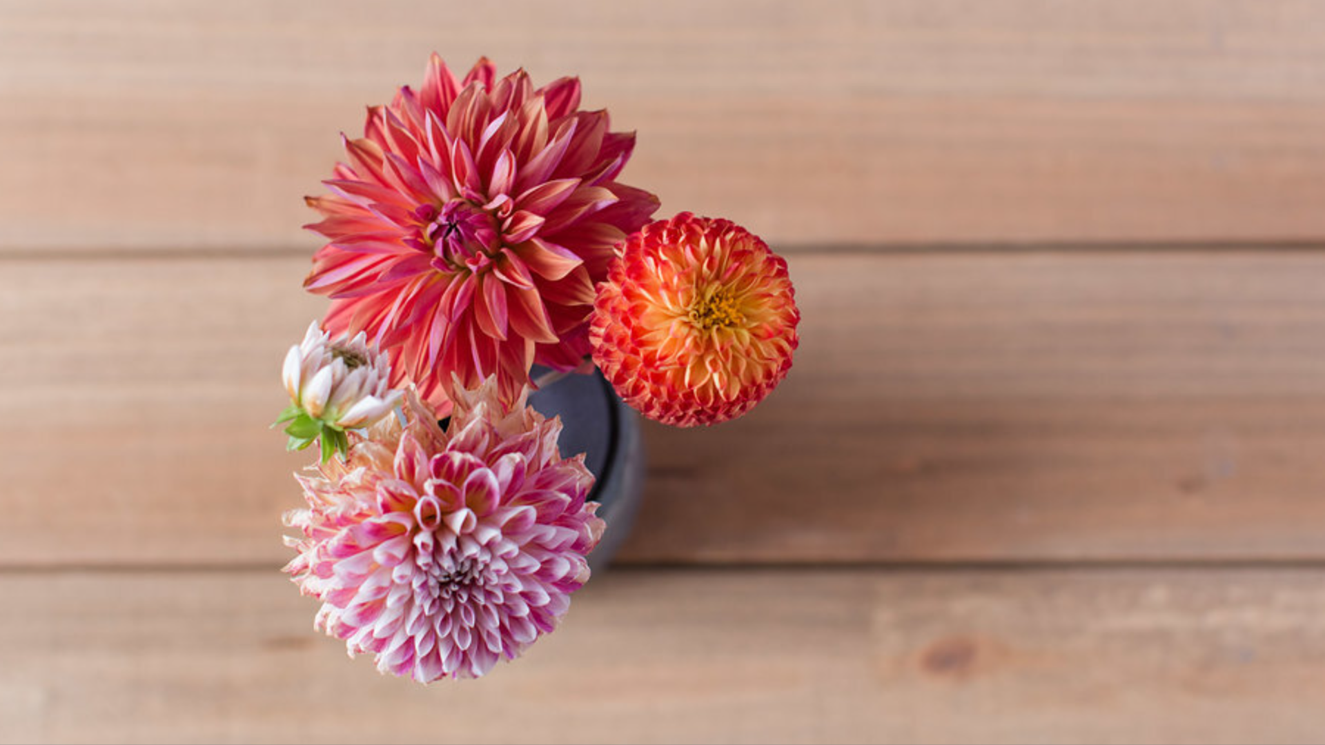 From Seattle to Westminster Abbey, the Slow Flower movement grows ...
