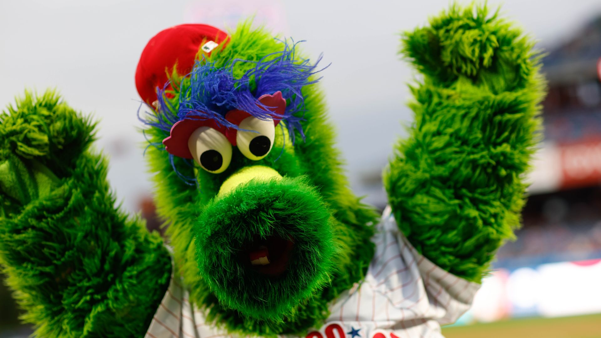 The biggest social media stars among MLB mascots