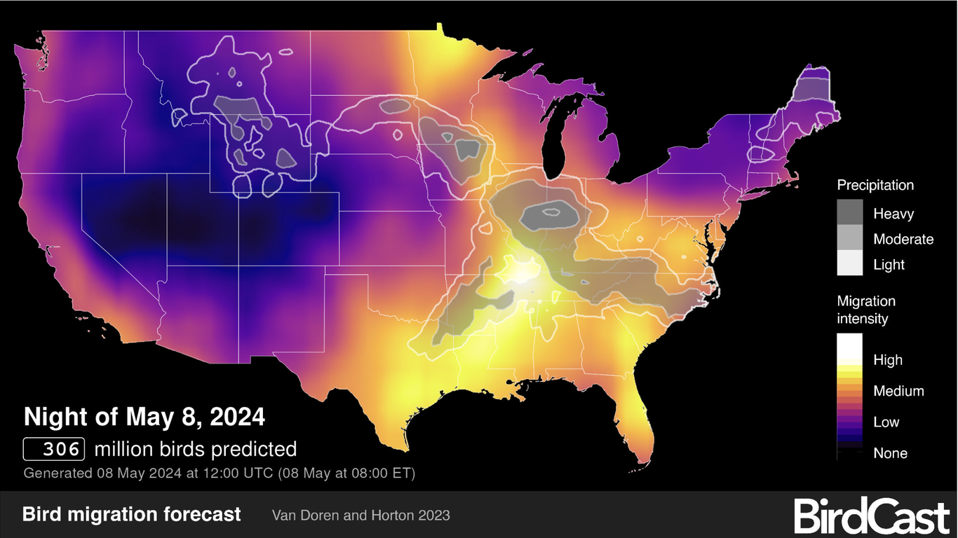 How to help Iowa's migrating birds - Axios Des Moines