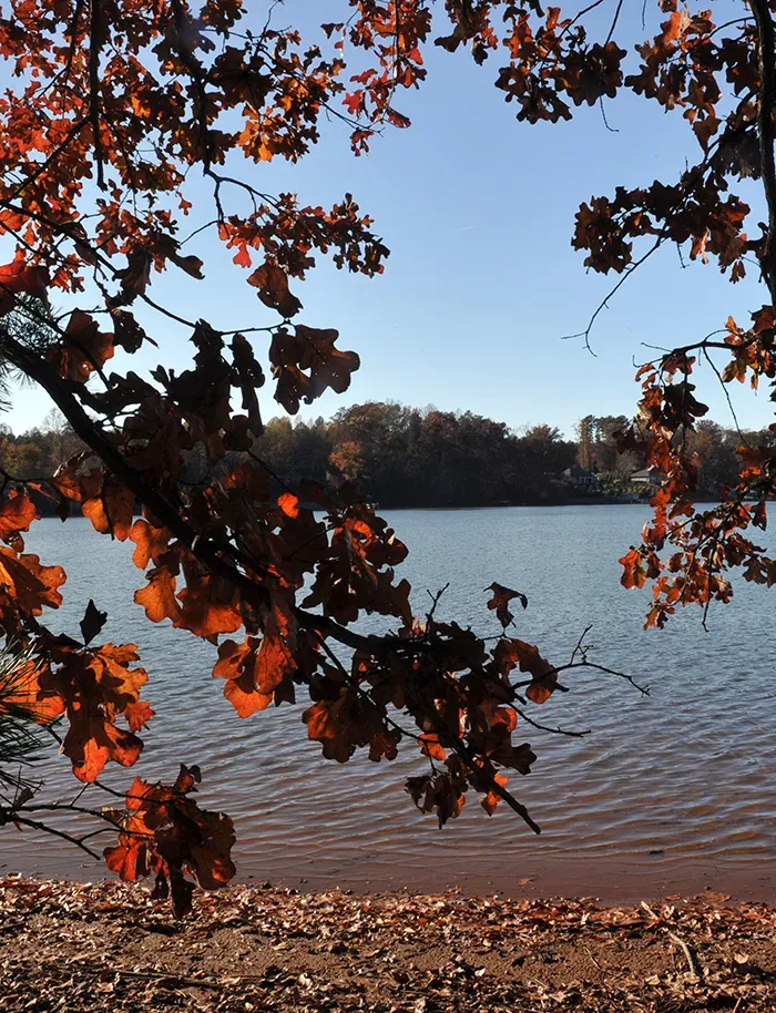 Outdoor guide: 11 best hikes for fall foliage this year, all within 3 ...