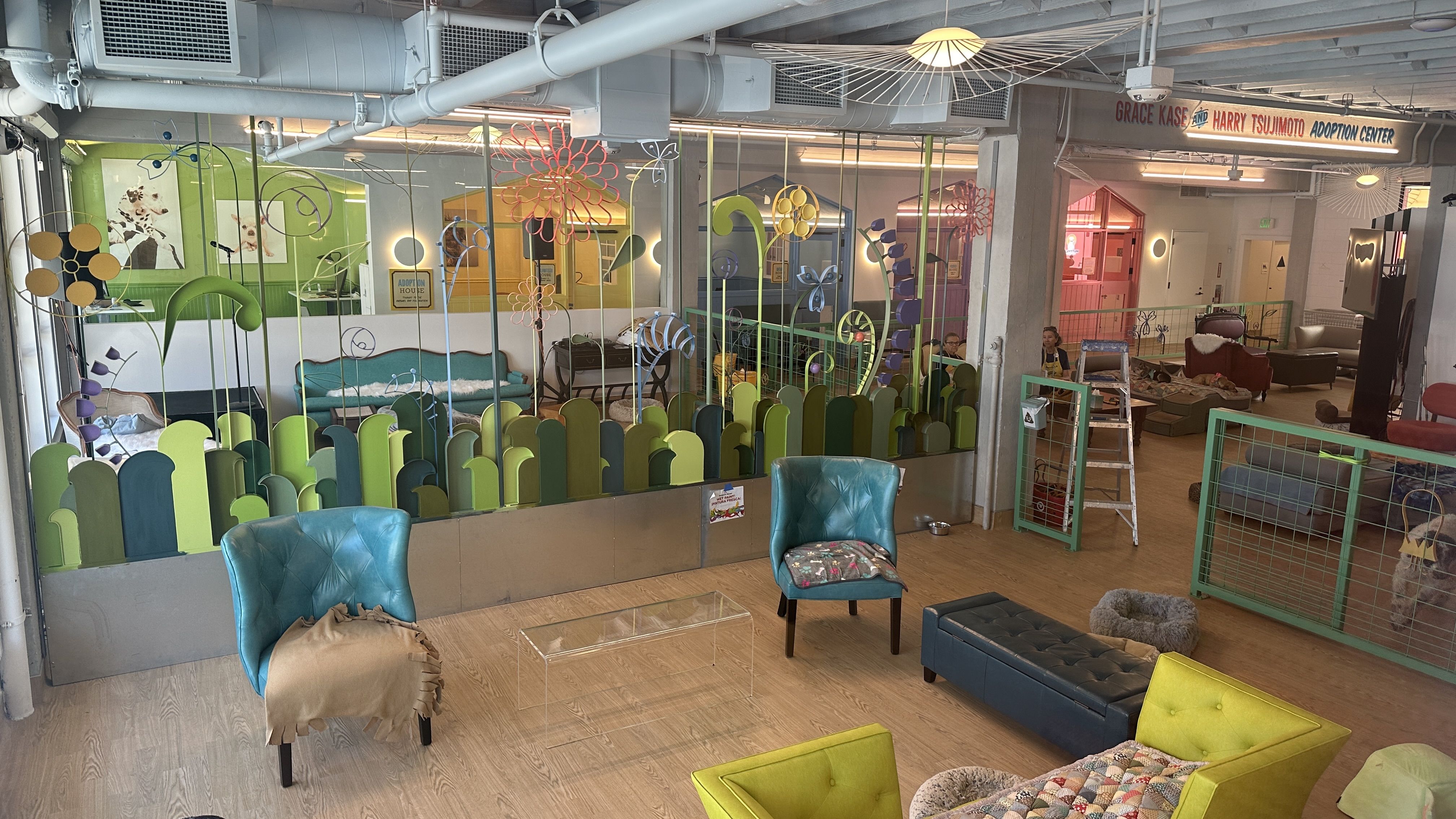 San Francisco's Muttville Senior Dog Rescue aims to save more dogs with ...