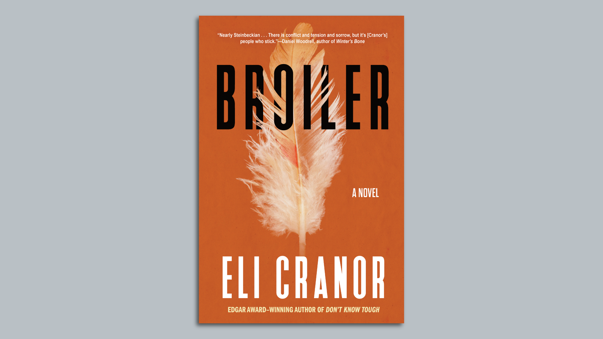 Book review: "Broiler" by Arkansan Eli Cranor takes place in Springdale ...