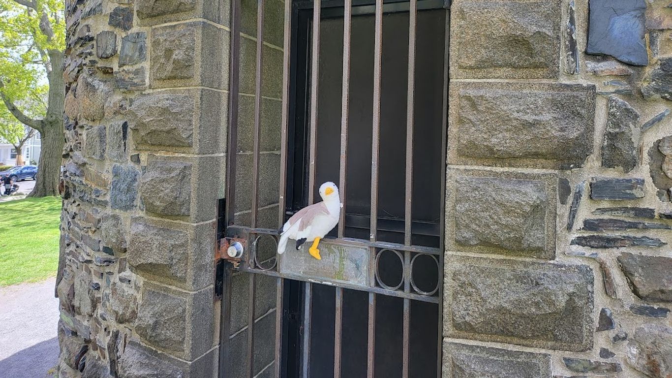 Where's Townie? - Axios Boston