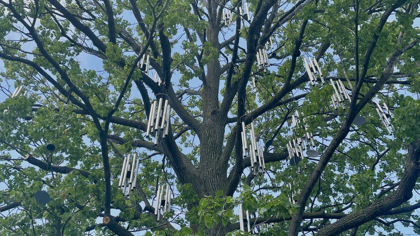 Wind chime installation returns to Minneapolis Sculpture Garden - Axios ...