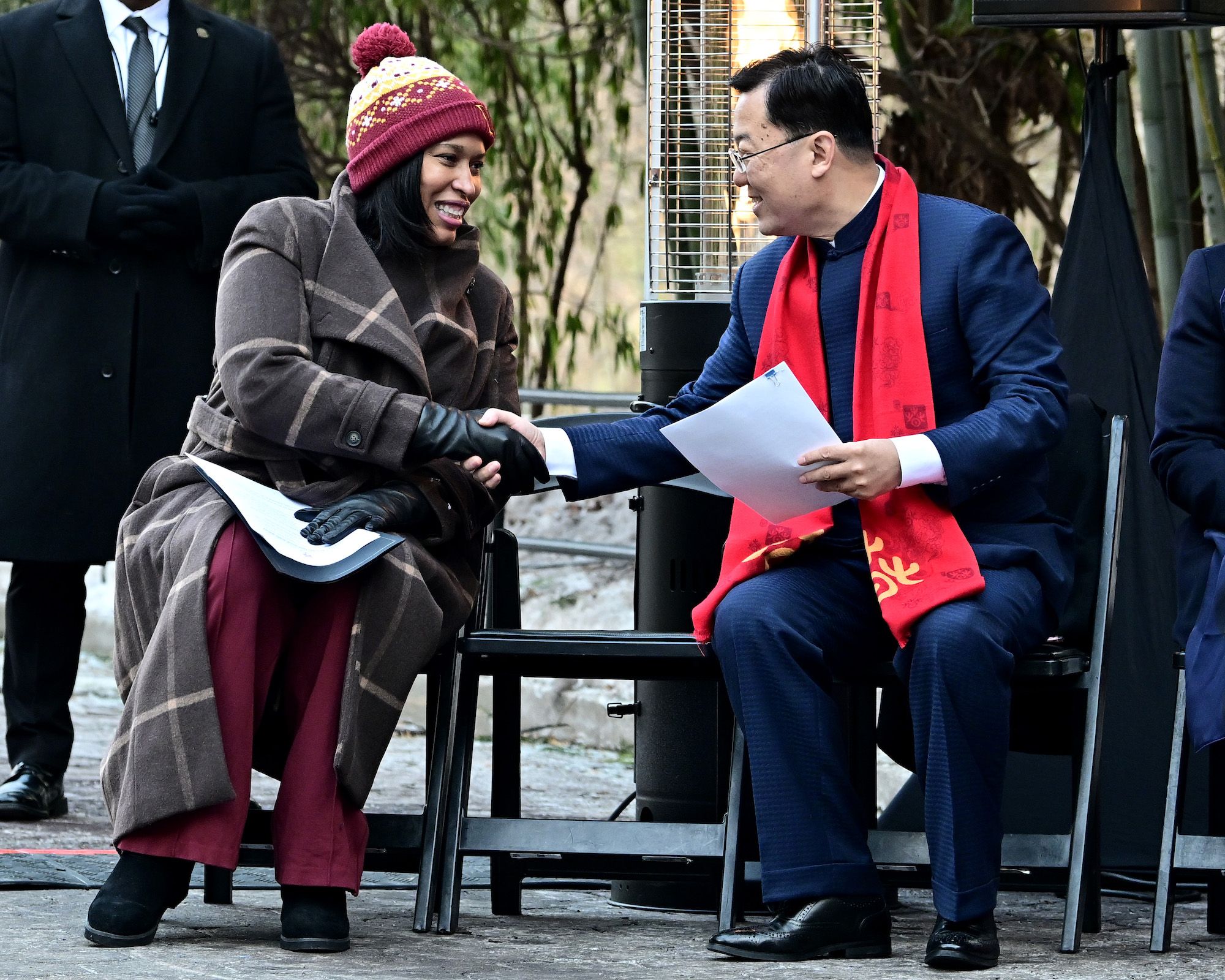 Giant pandas debut at DC National Zoo: How to see Bao Li, Qing Bao ...