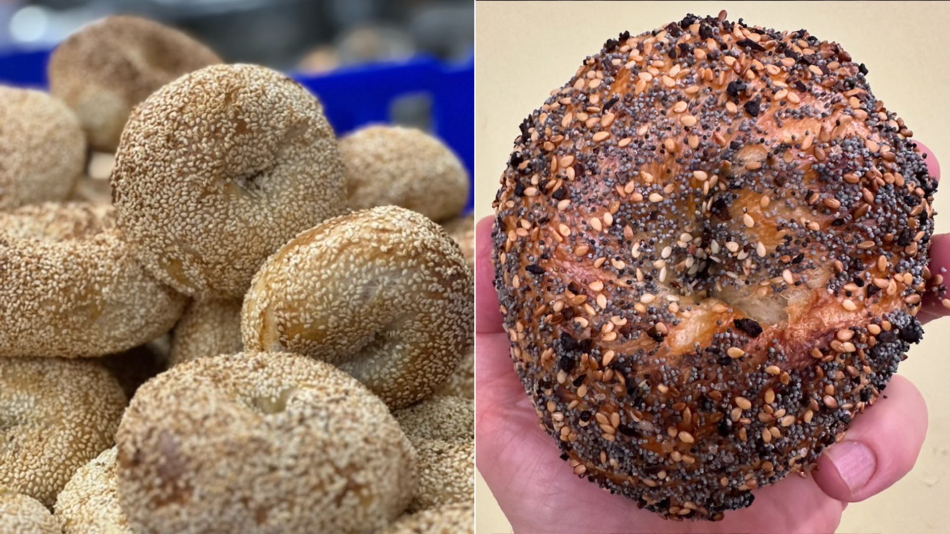 Hey Bagel will open in Seattle's University Village this fall - Axios ...