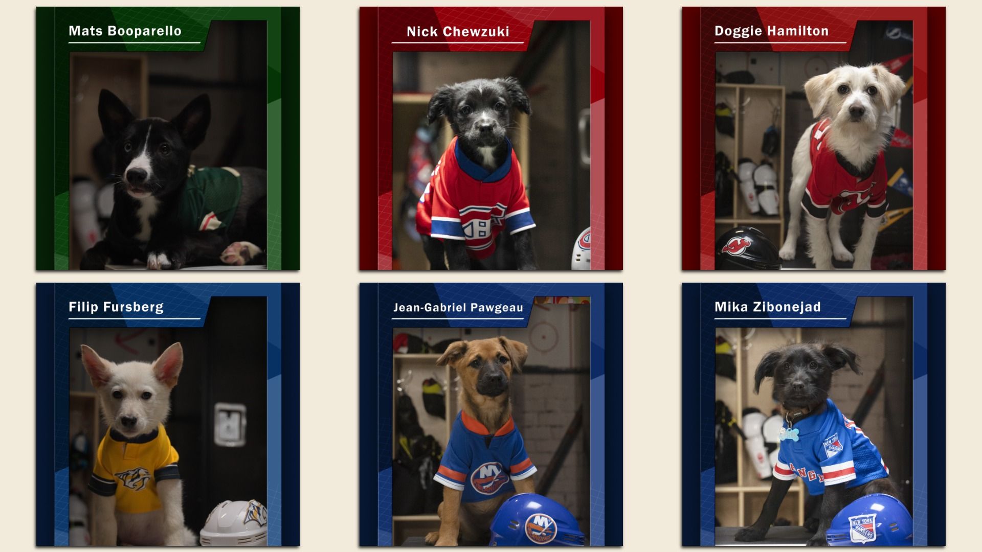 Dozens of cute puppies to face off in the NHL's "Stanley Pup"