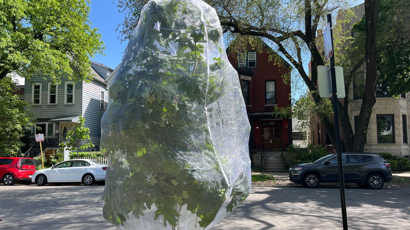 Monica Eng - Journalist Profile - Intelligent Relations