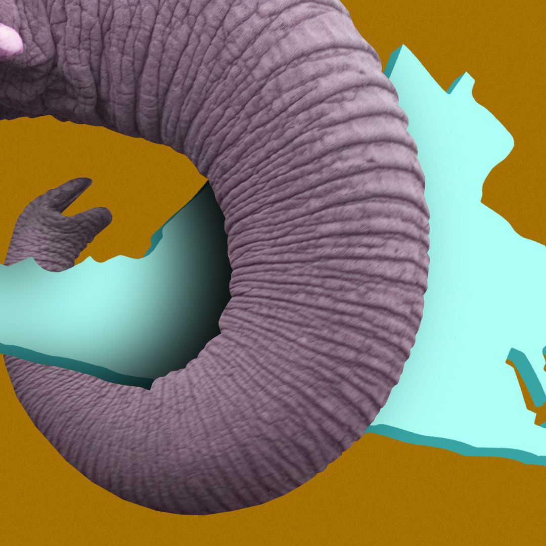 Chelsea Cirruzzo - Axios