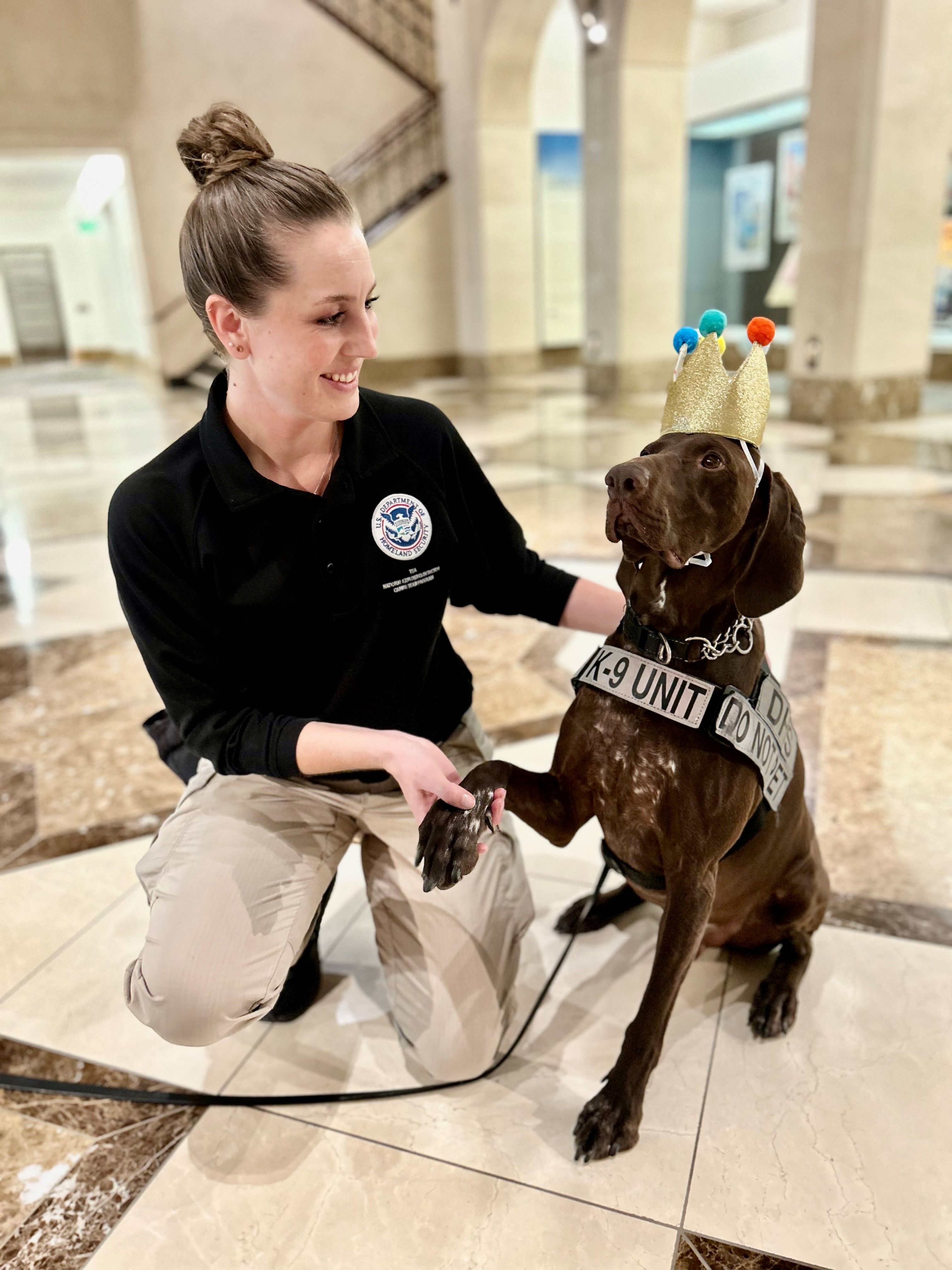 SFO's very own Barni crowned TSA's Cutest Canine - Axios San Francisco