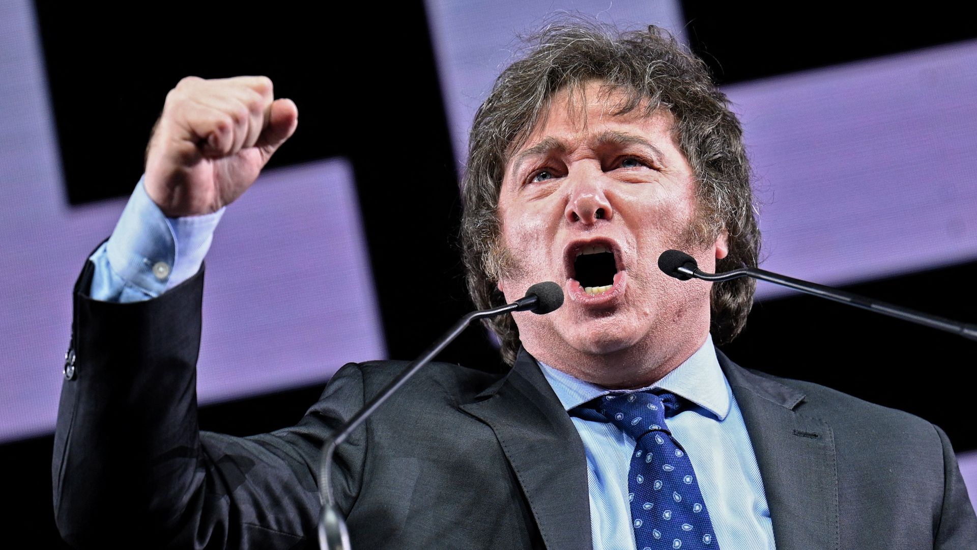 Javier Milei Argentina's new right-wing economist president