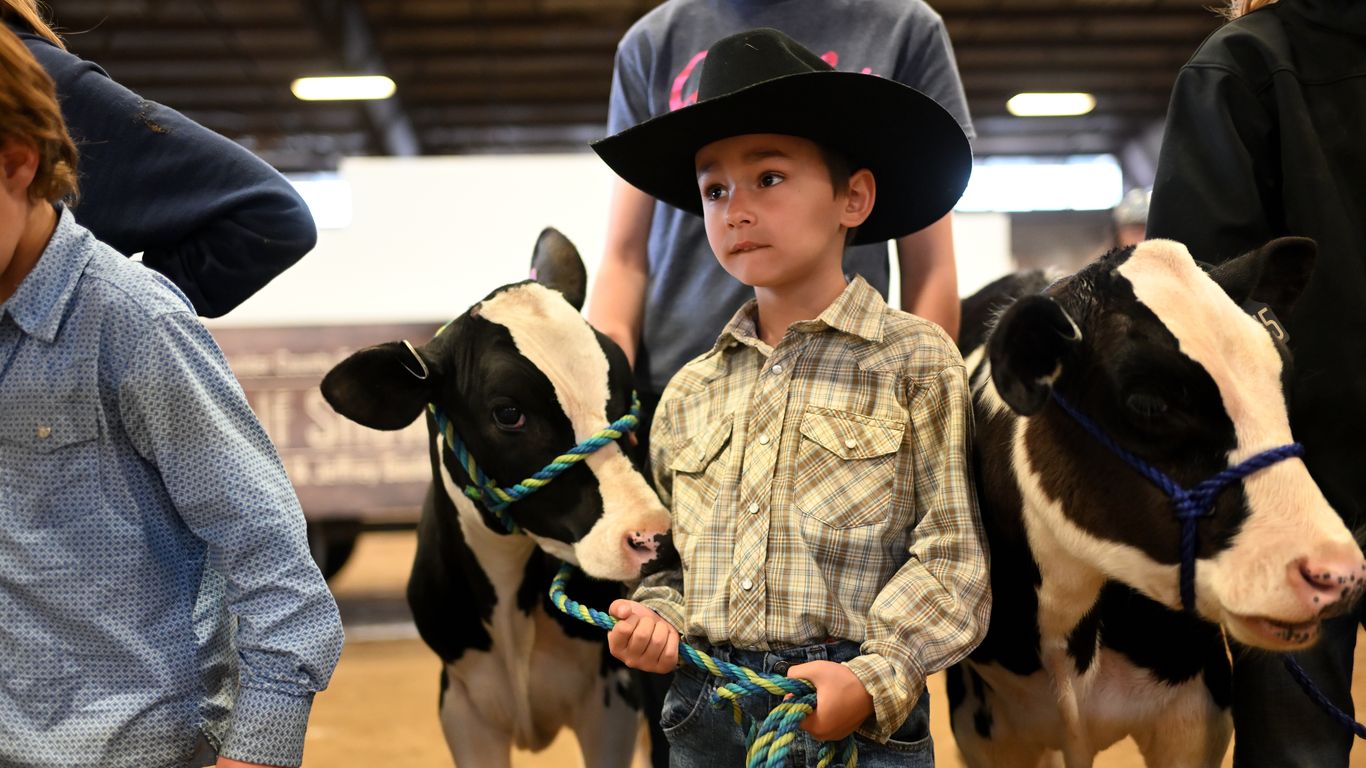 Demo Derby, rodeos light up Boulder County Fair - Axios Boulder